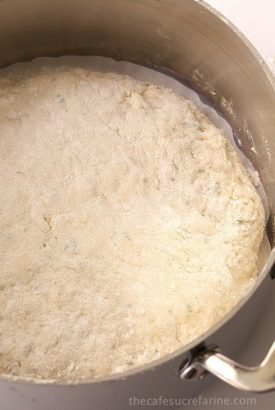 5 Minute Artisan Bread Tutorial