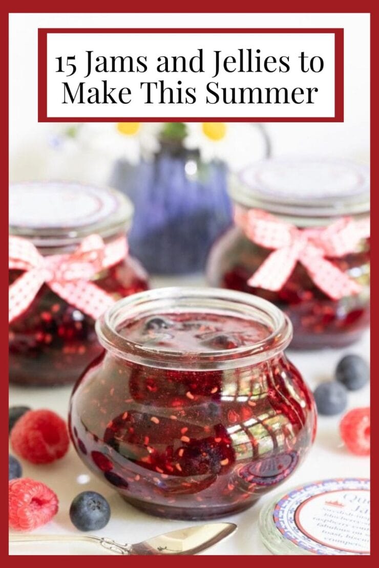 15 Easy Jams and Jellies to Make This Summer! (with free printable ...