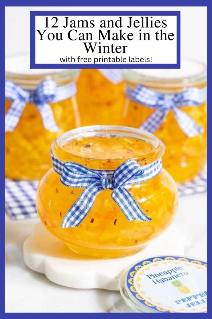 12 Easy Jams and Jellies You Can Make All Year Long! (No canning skills ...