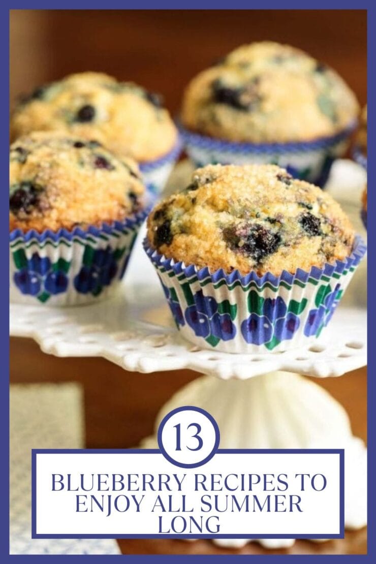 Calling All Blueberry Lovers - 13 Summery Recipes to Enjoy Now! - The ...