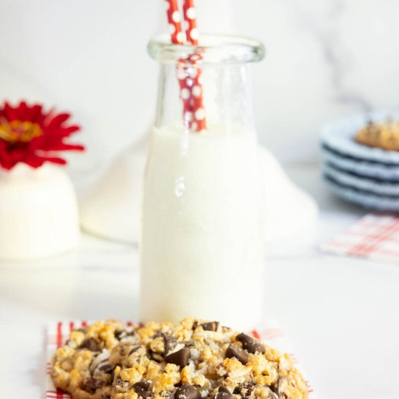 Ridiculously Easy Magic Cookies with Chocolate Chips and Coconut
