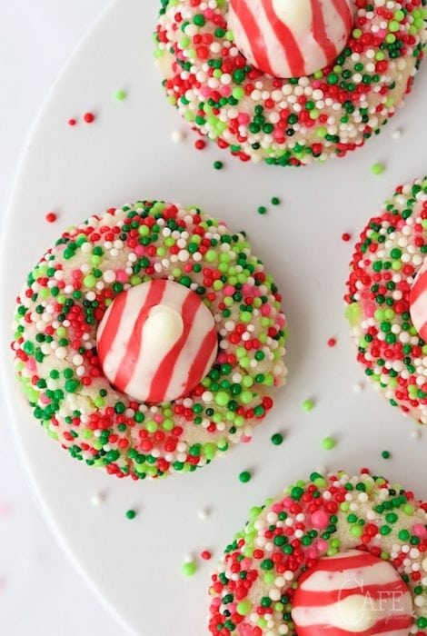 Candy Cane Shortbread Cookies - The Café Sucre Farine